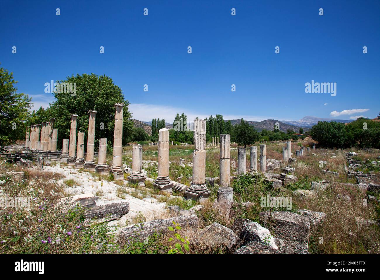 Afrodisias Ancient city. (Aphrodisias) was named after Aphrodite, the ...