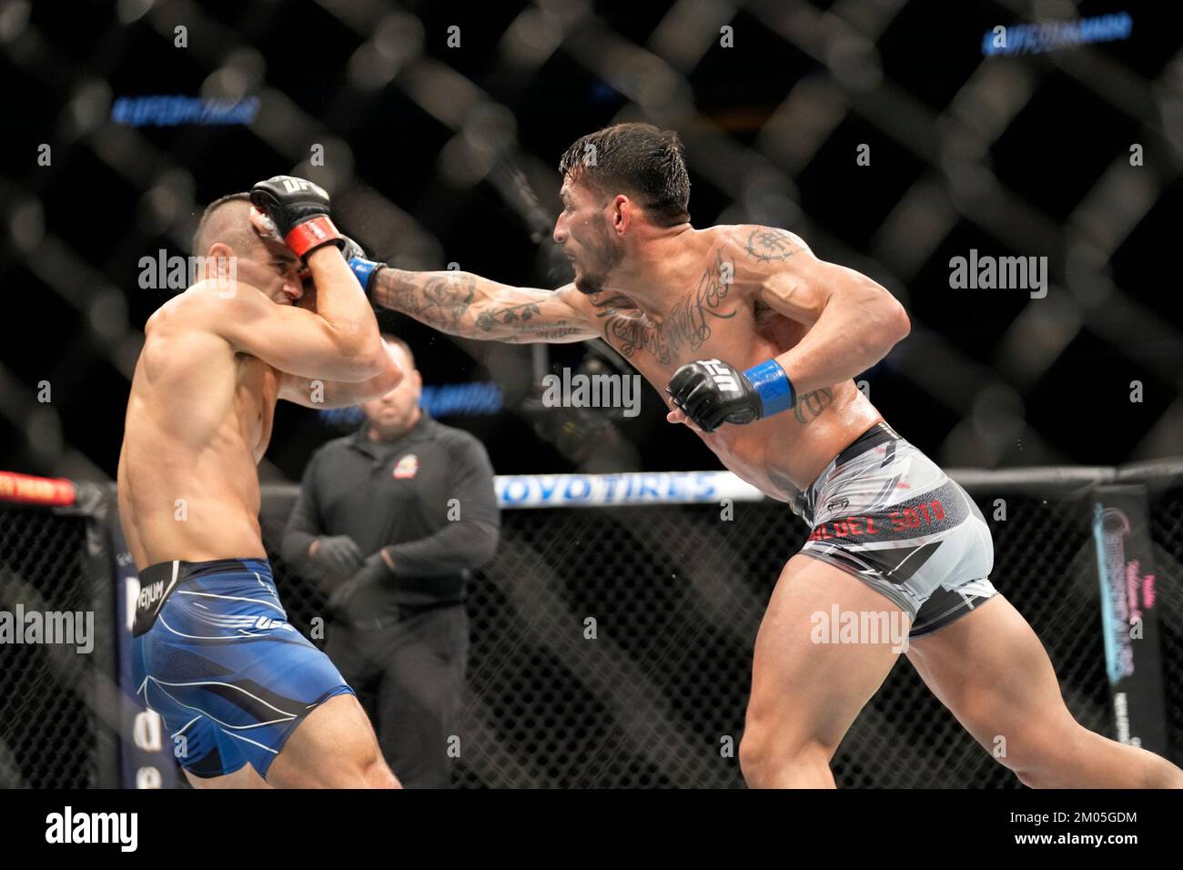 Genaro valdez r and natan levy l hi-res stock photography and images ...