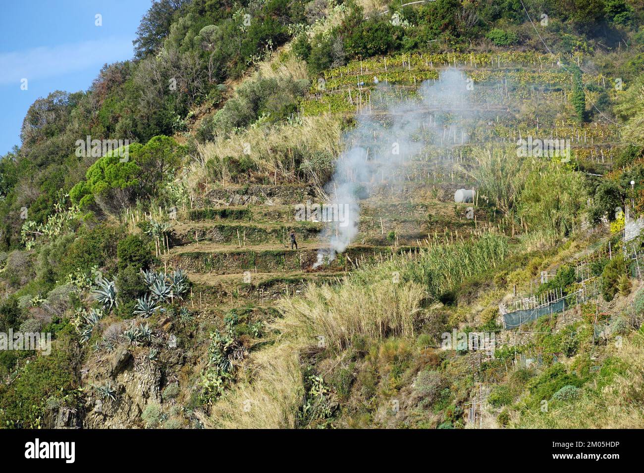 landscape, mountain, Cinque Terre, Liguria, Italy, Europe, UNESCO World ...