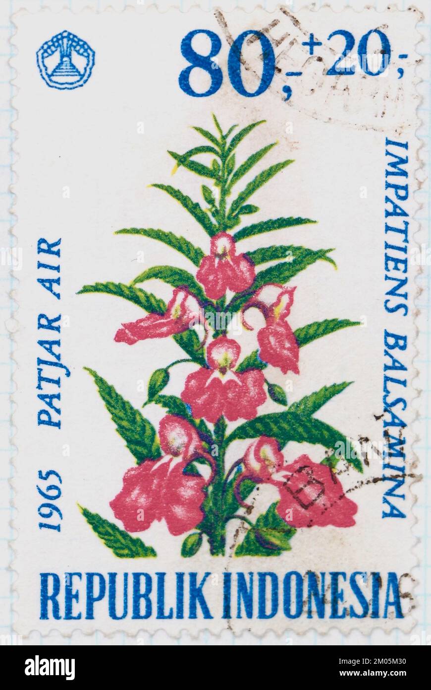 Photo of a postage stamp from Indonesia Impatiens balsamina flowers ...