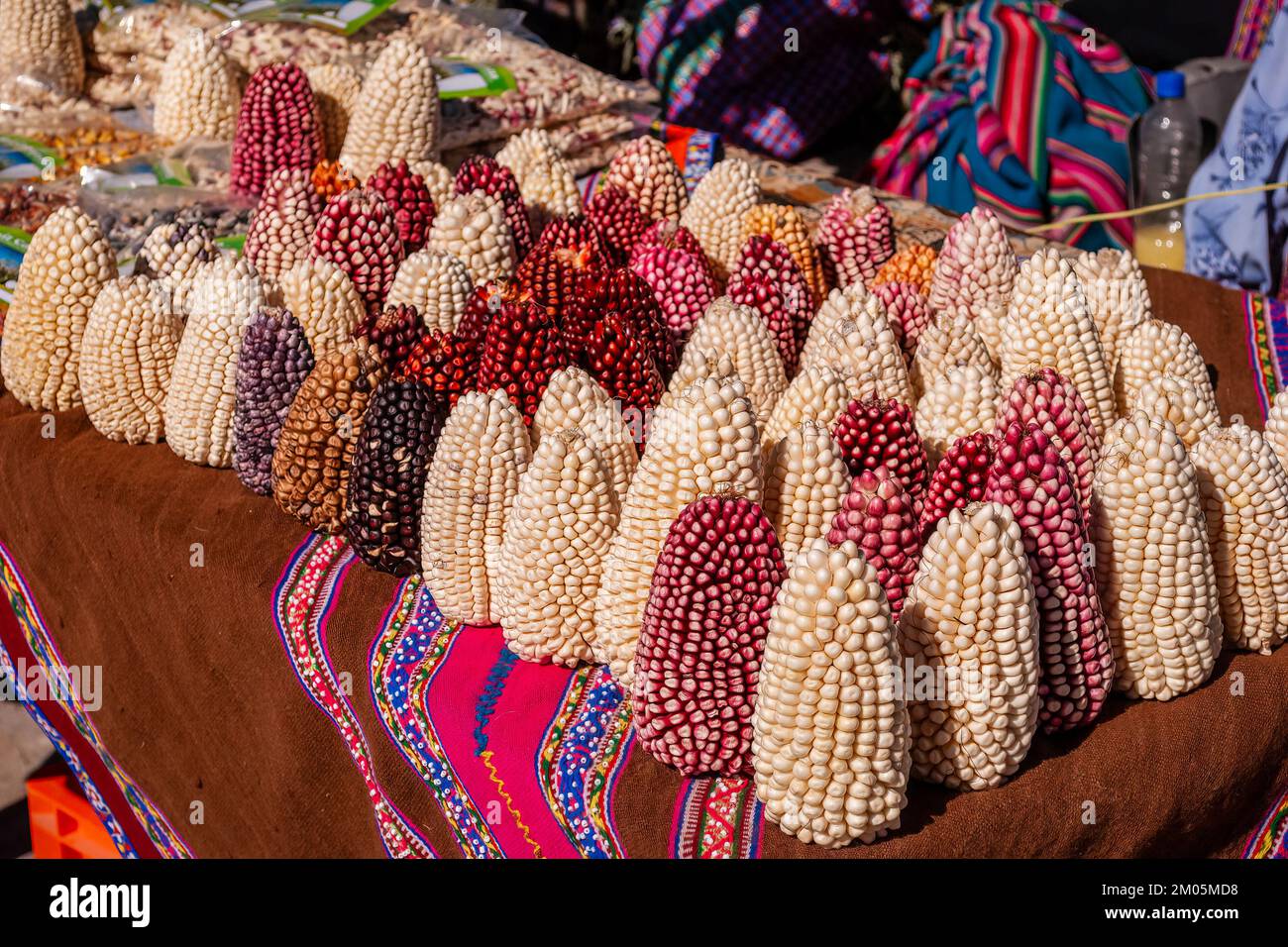 Several traditional varieties of corn in a Peru marketplace (Valle del ...