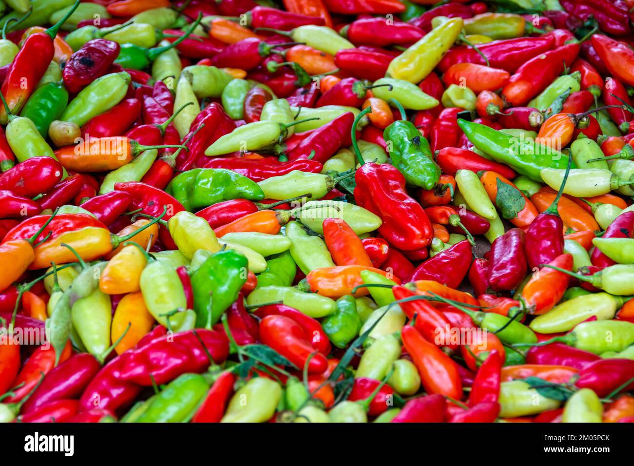 Panamá 2014 hi-res stock photography and images - Alamy