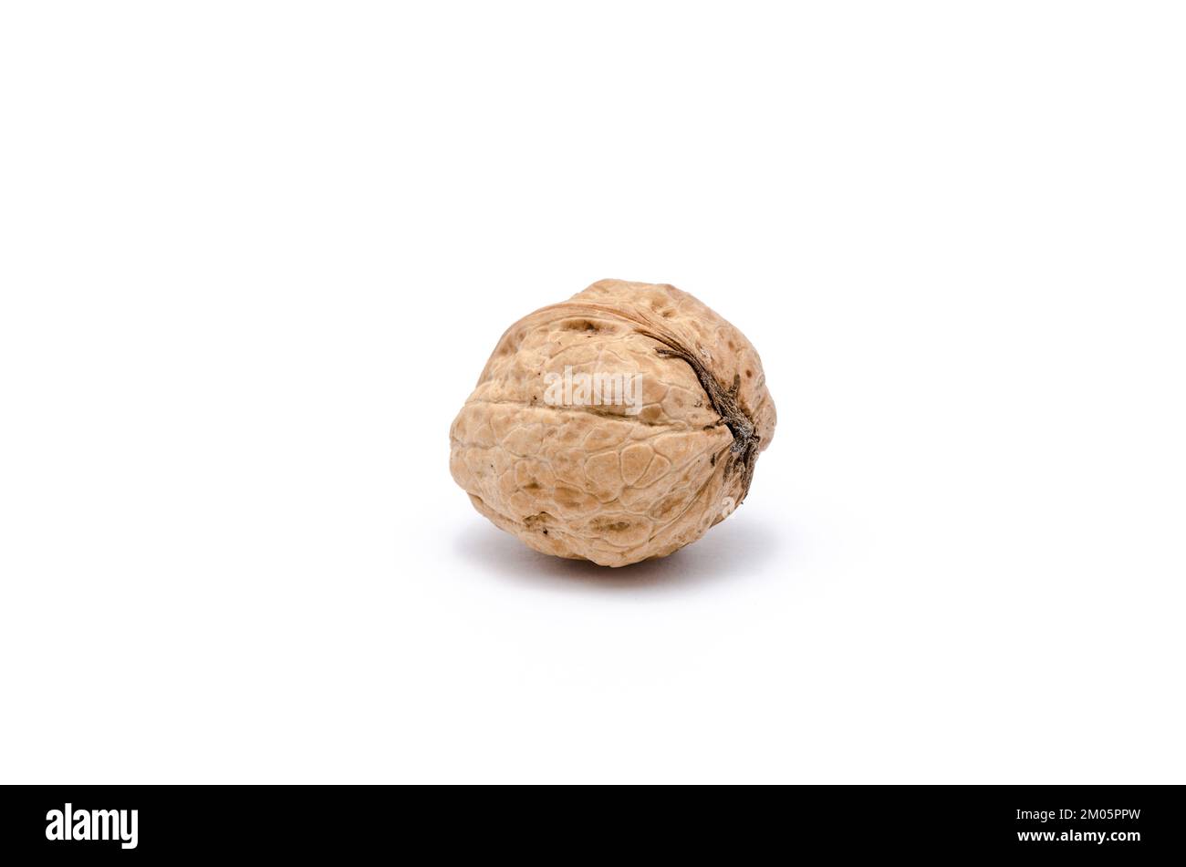 One single walnut isolated on white background Stock Photo - Alamy