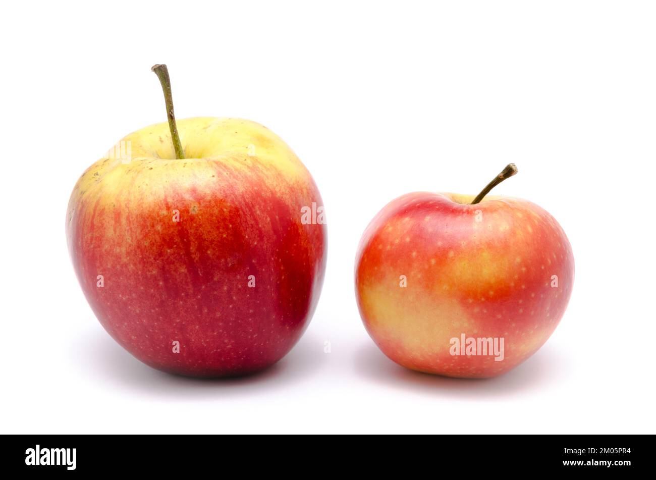 Two apples Cut Out Stock Images & Pictures - Alamy
