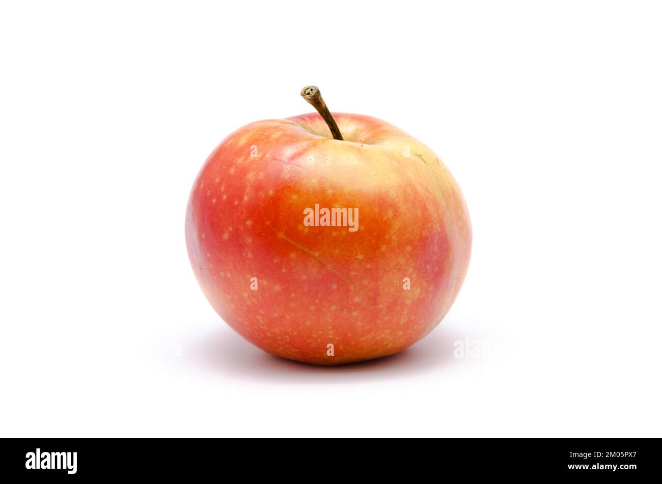 One single apple fruit isolated on white background Stock Photo - Alamy