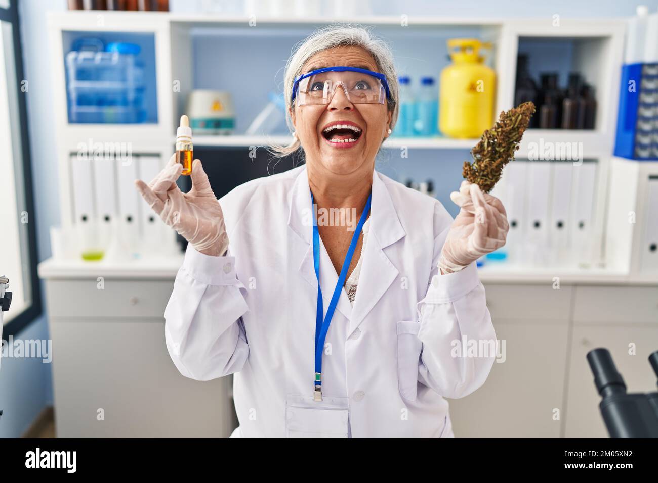 Middle age woman with grey hair doing weed oil extraction at laboratory ...