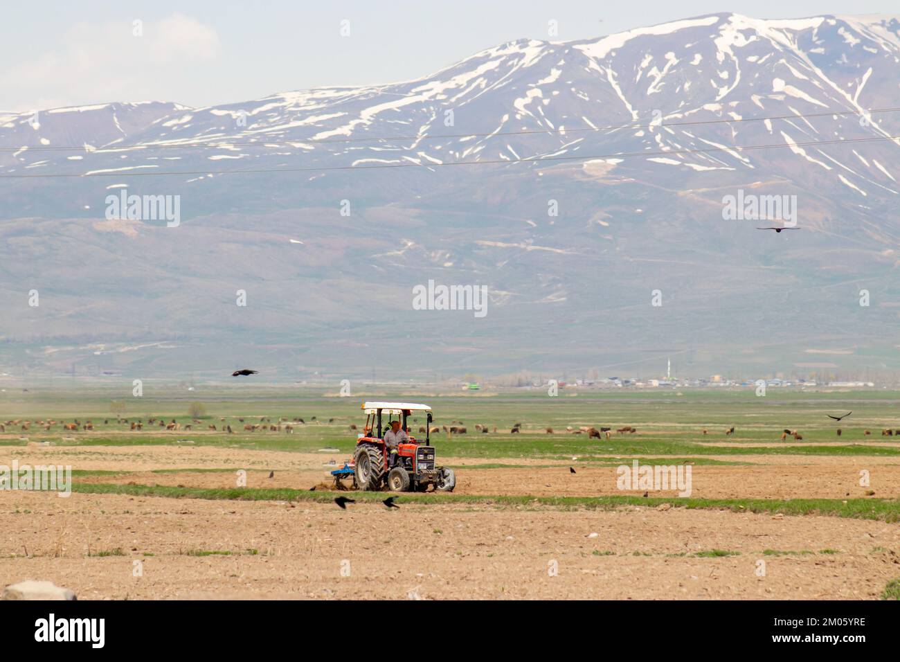 Distant view of a farmer on a tractor with a cultivator working in the ...