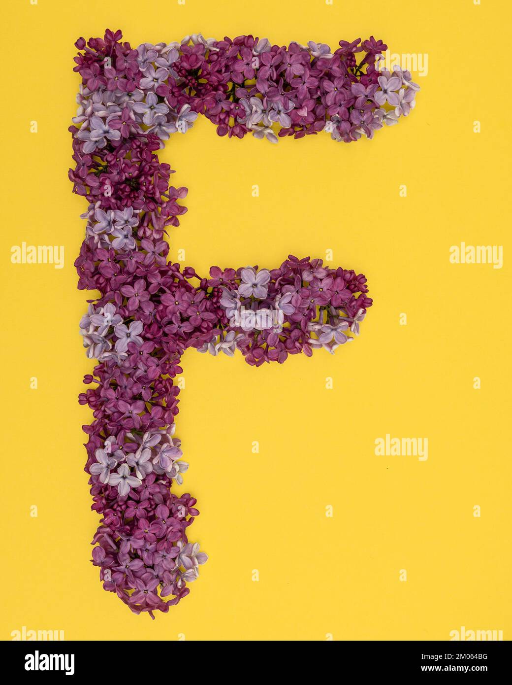 The letter F is lined with lilac flowers on a yellow background. For ...