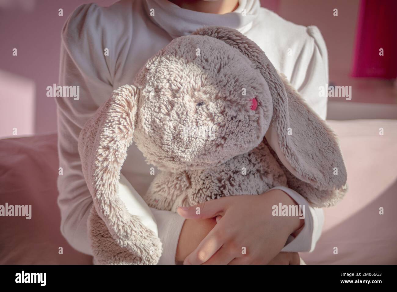 Girl lovingly hugging a stuffed rabbit in her well-lit pink room Stock ...