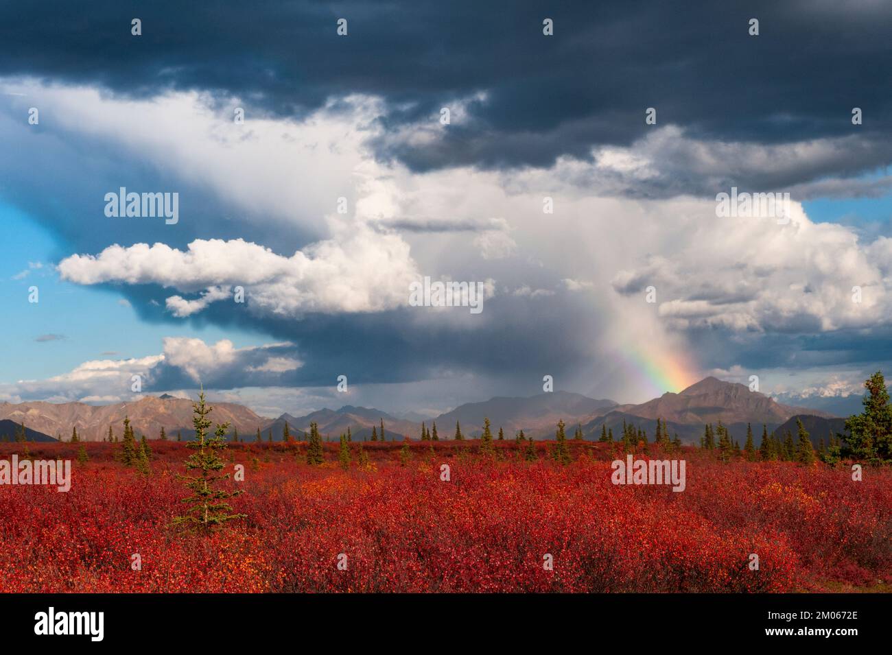Storm over the Alaskan Range, Cantwell, Alaska with rainbow Stock Photo ...