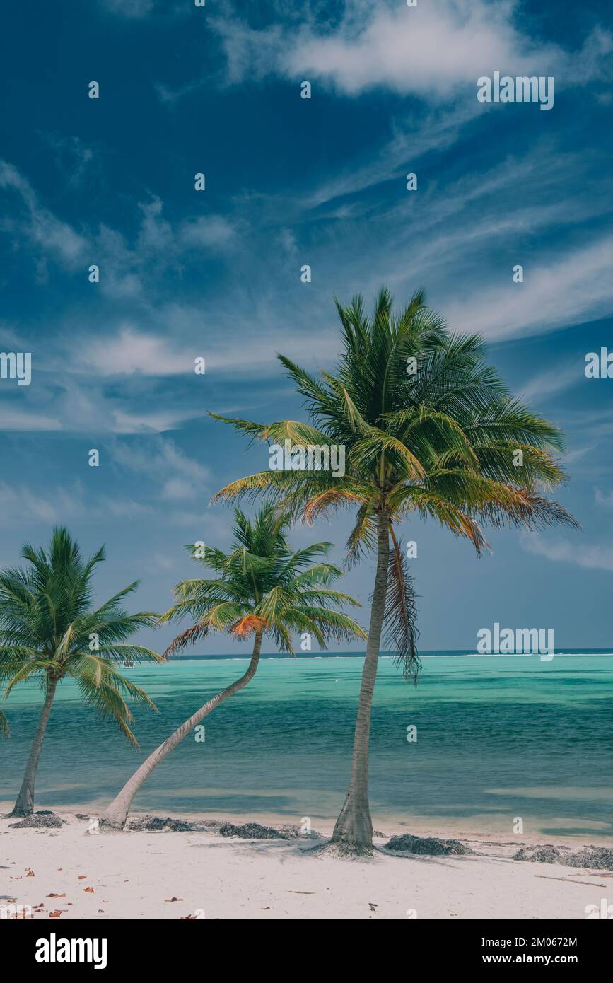 Retro Tropical Island View, Little Cayman Island, Cayman Islands ...