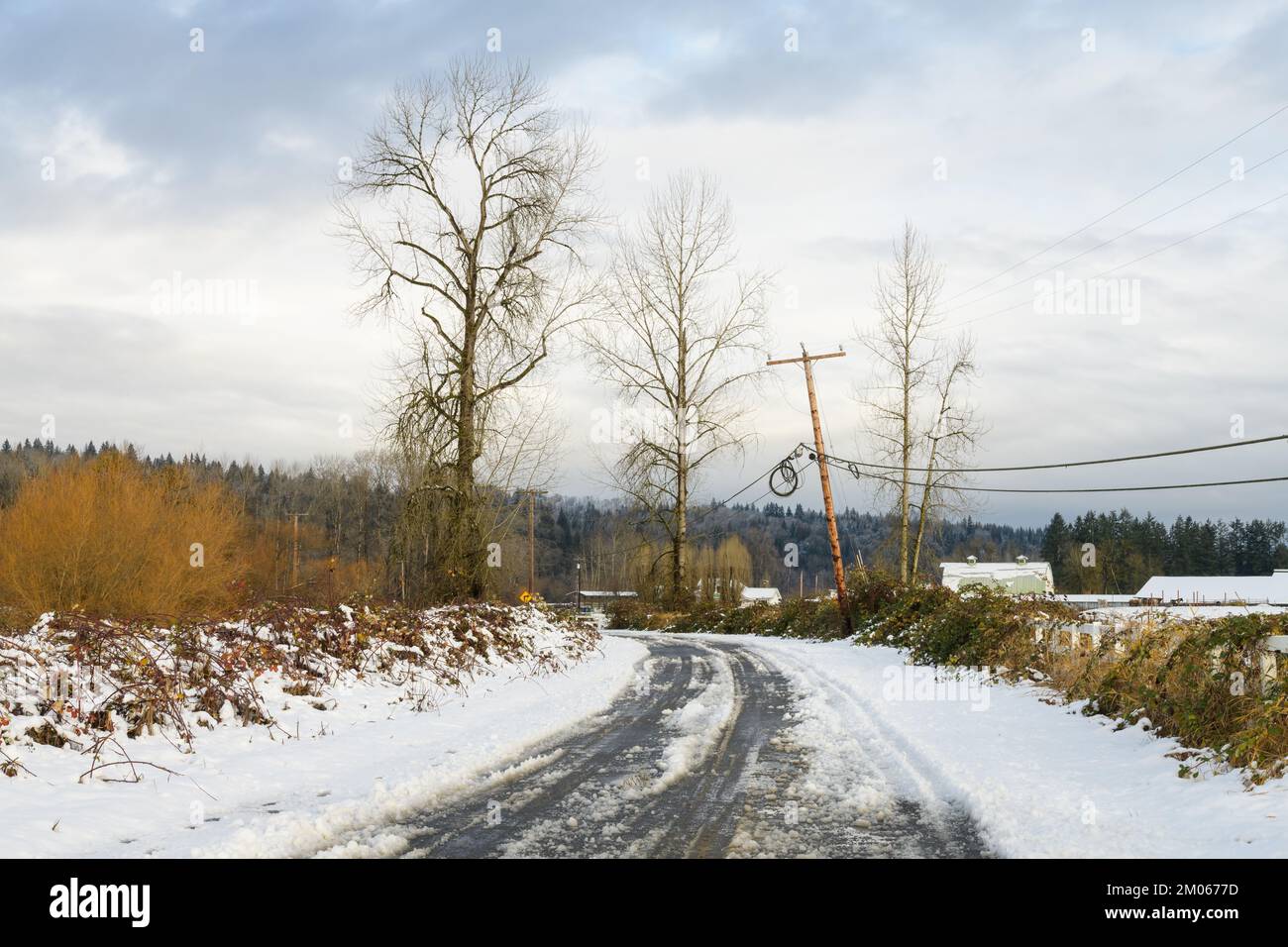Slush covered county road in the Snoqualmie Valley in winter with ...