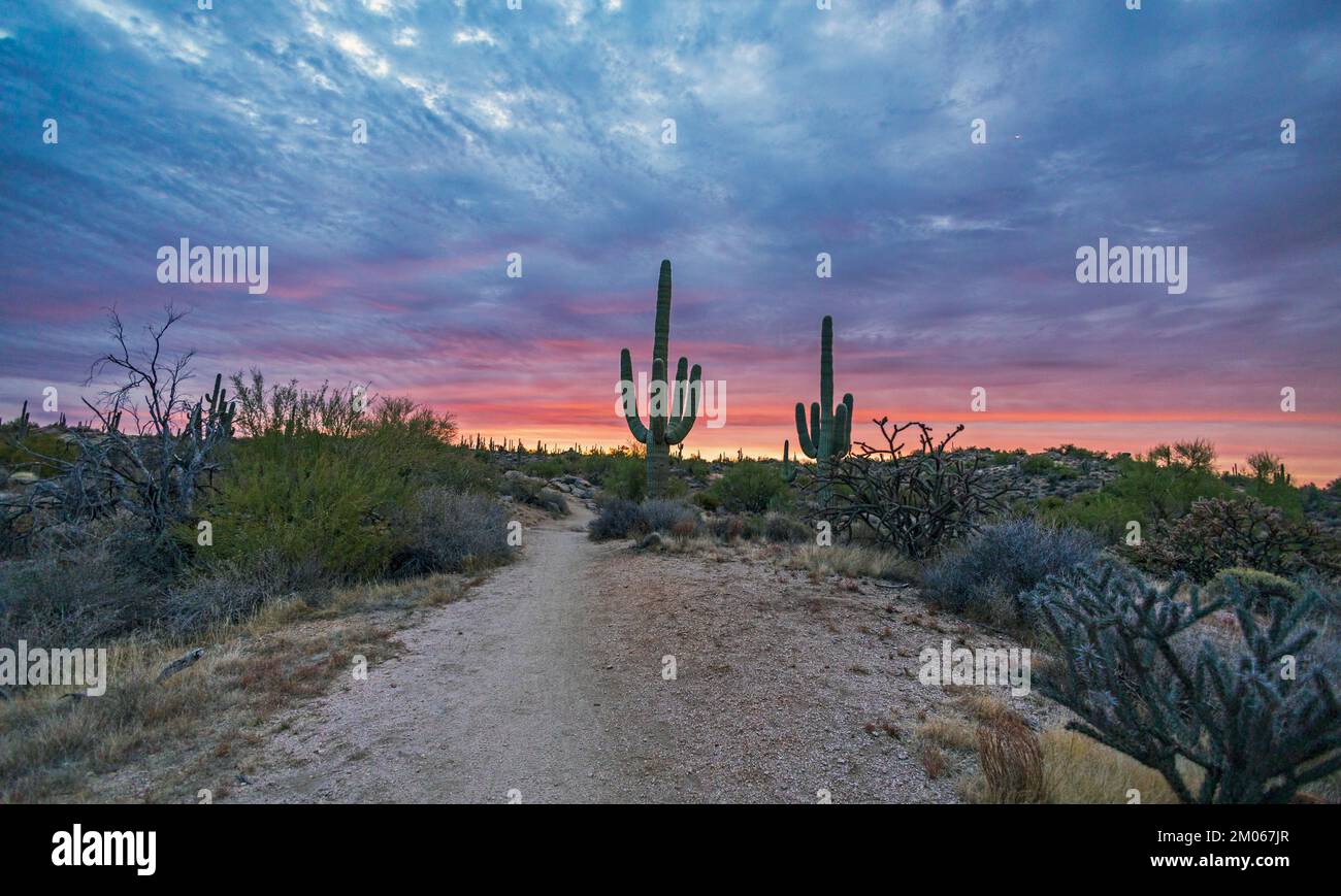 Arizona Desert Landscape Along Popular Hiking Trail At Dusk Time Stock ...