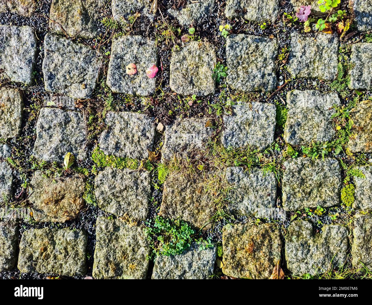 Detailed close up on old historical cobblestone roads and walkways all ...