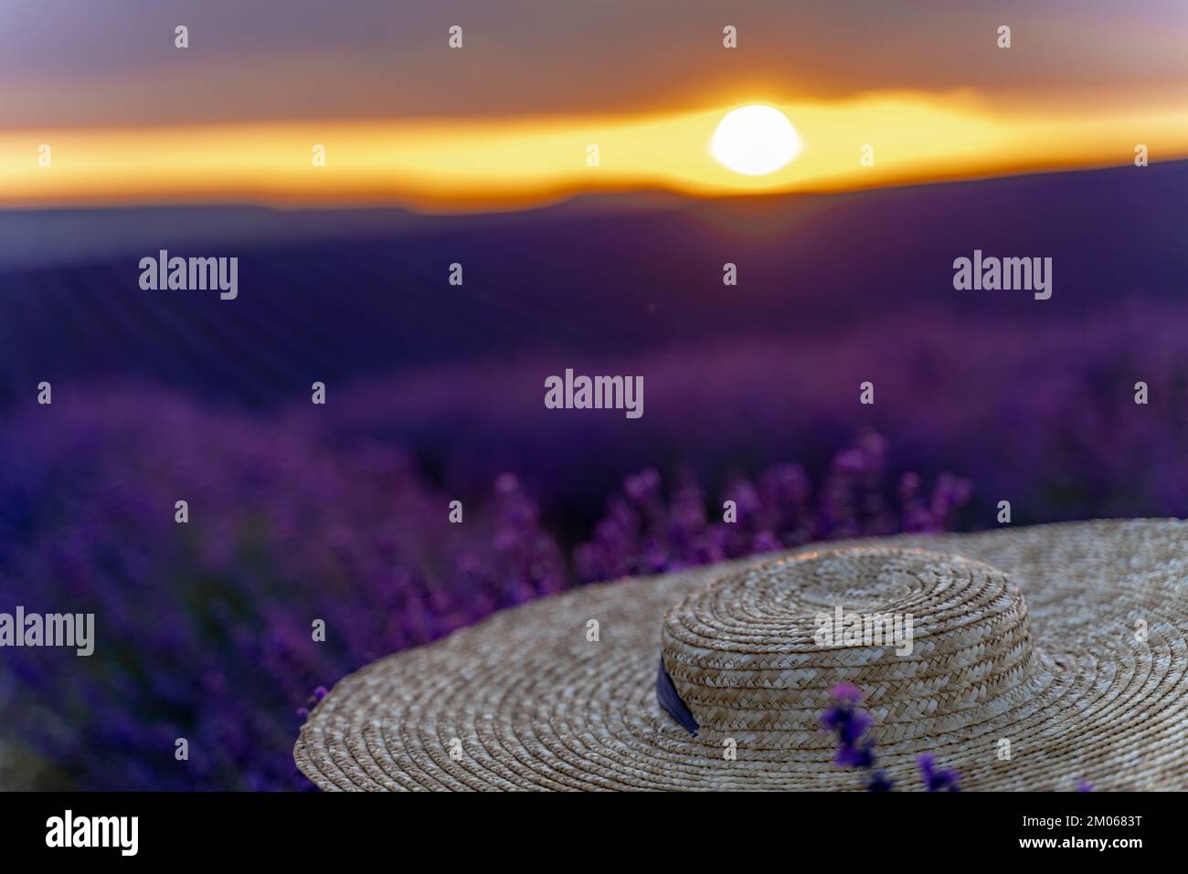 Close-up of a hat on lavender flowers on a sunset background. Love in ...