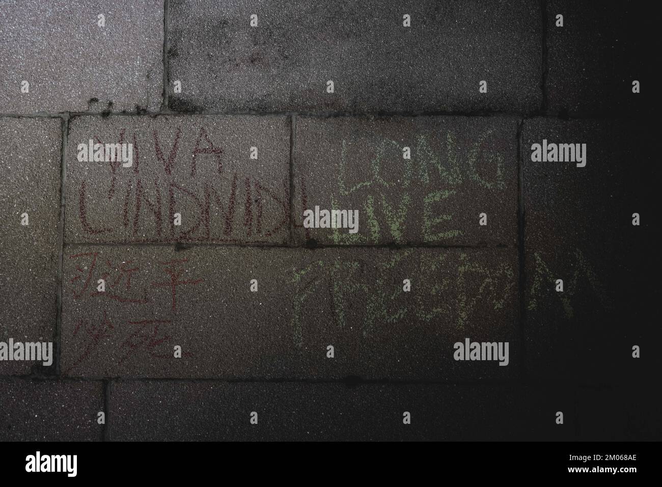 Seattle, Washington, USA. 28th Nov, 2022. A slogan of "President Xi ...