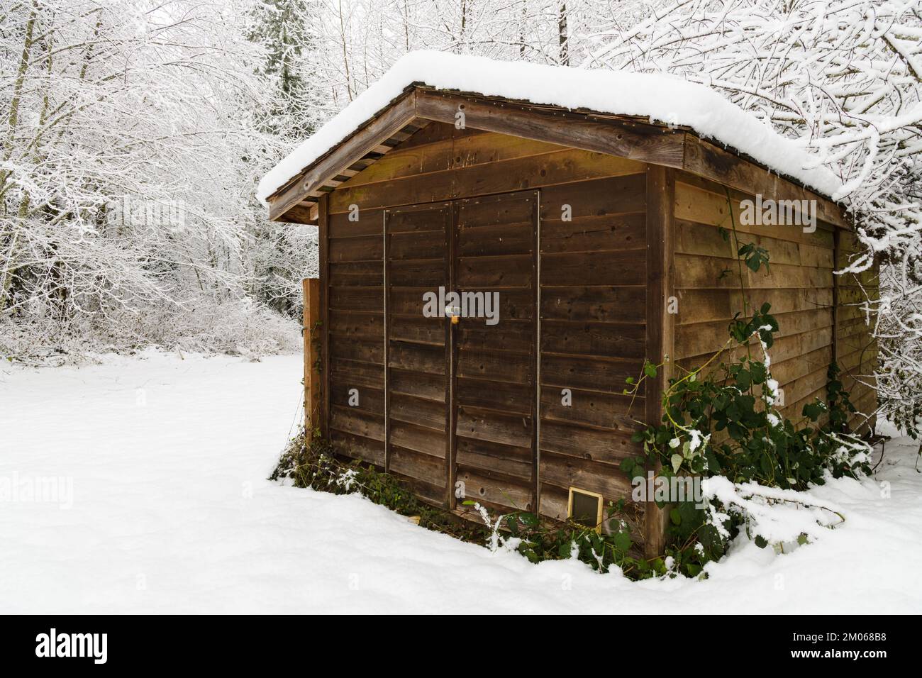 Wooden slat garden shed with snow on the ground and the roof and ...