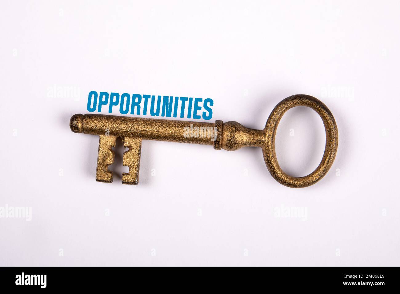 Opportunities concept. Gilded key and text on a white background Stock ...