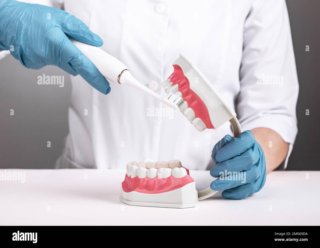Dentist using electric toothbrush on fake artificial jaw teeth model ...