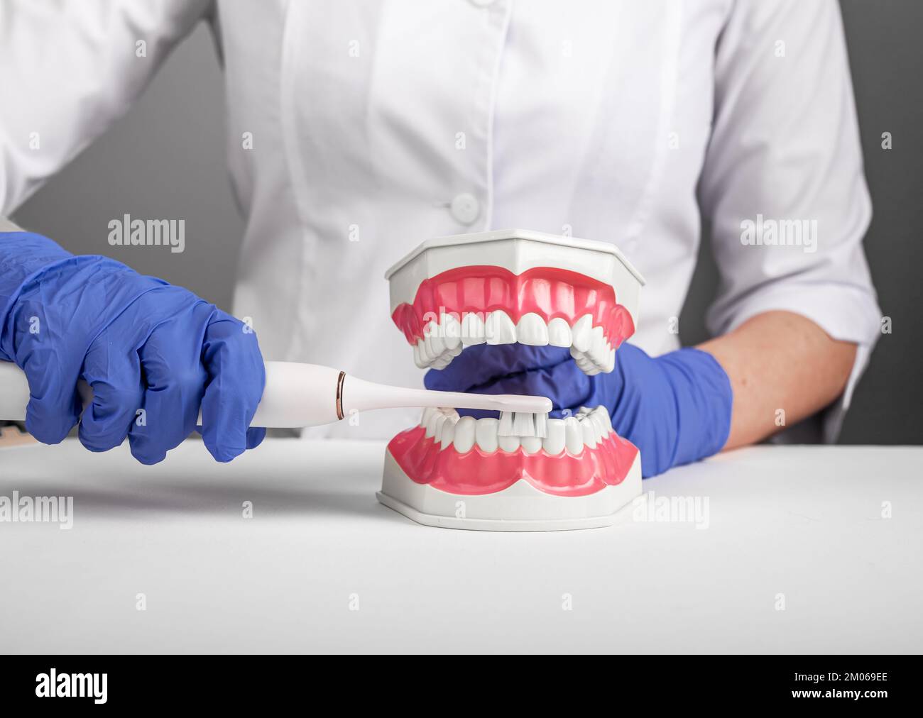 Dentist showing how to use electric toothbrush on fake jaw teeth model ...