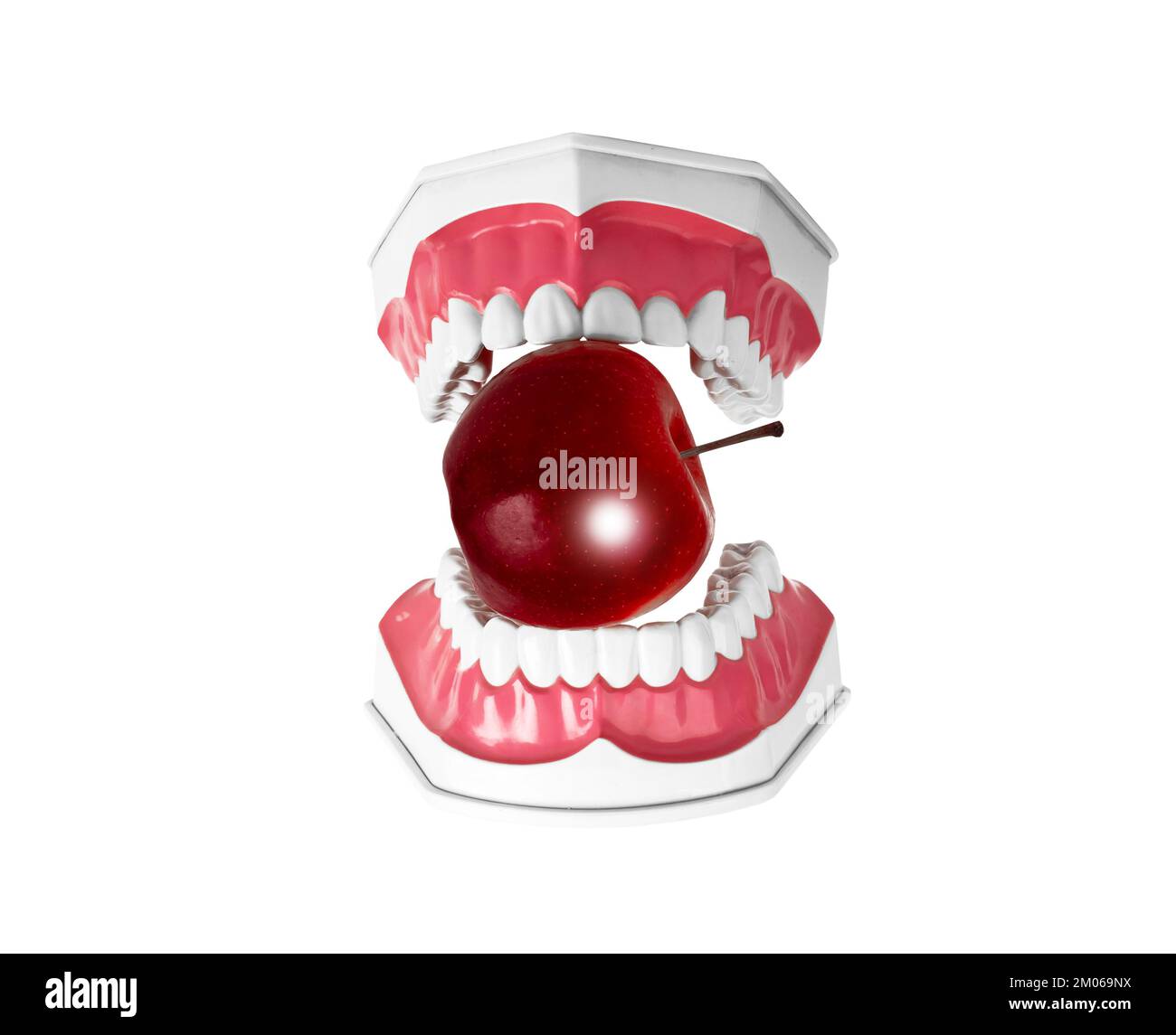Red apple between teeth, jaws isolated on white background. Healthy ...
