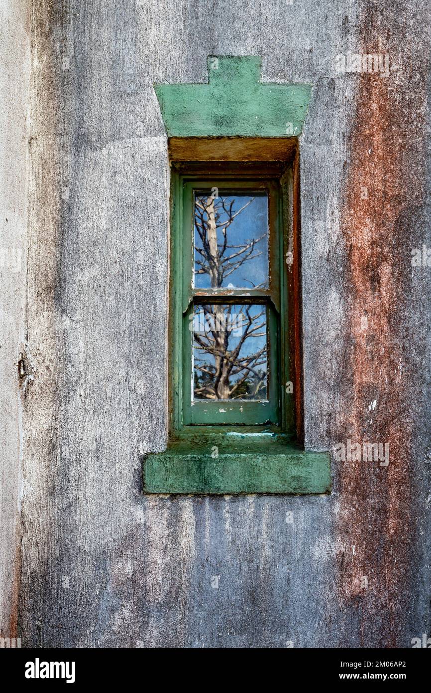 Tree branches reflected in the window of a weathered old building Stock ...