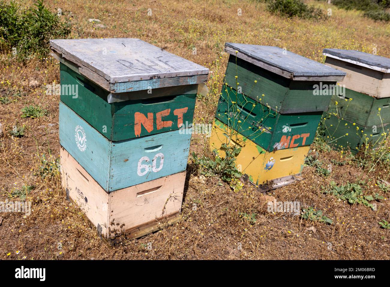 Honey production south america hi-res stock photography and images - Alamy
