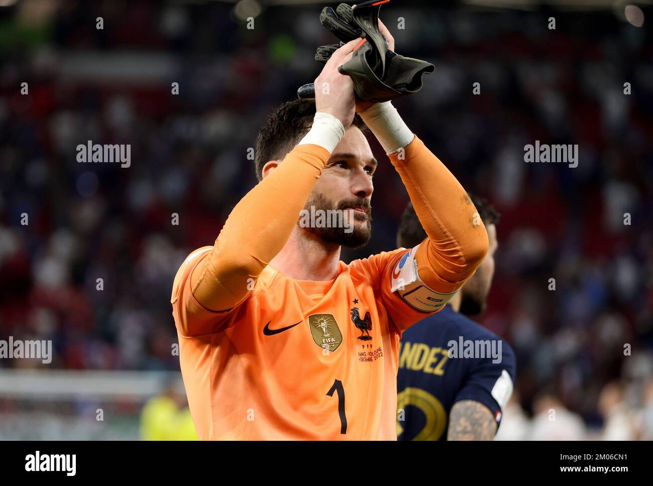Goalkeeper of France Hugo Lloris celebrates the victory following the ...