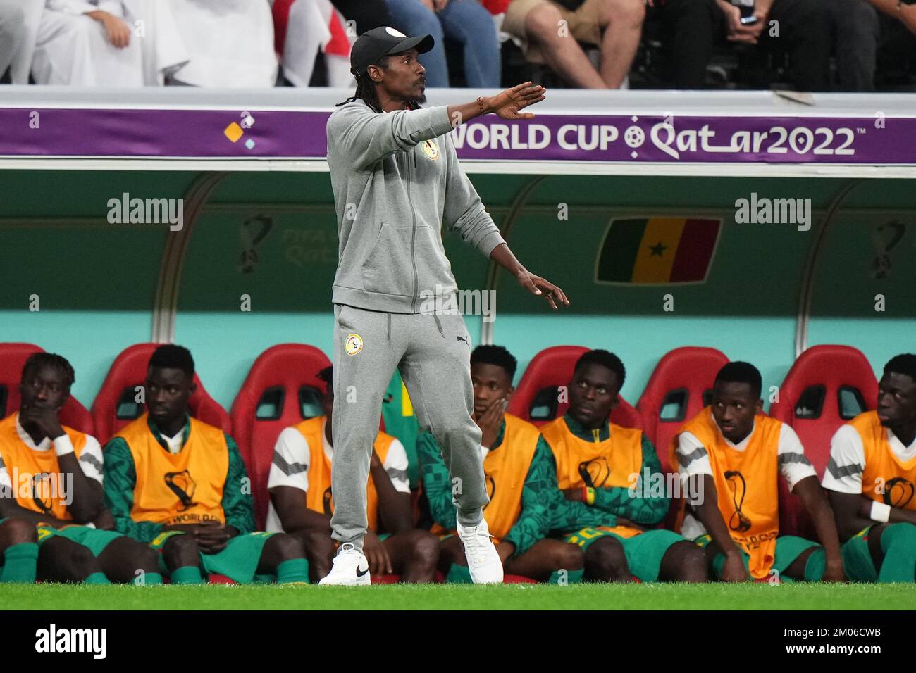 Senegal head coach Aliou Cisse during the FIFA World Cup Qatar 2022 ...