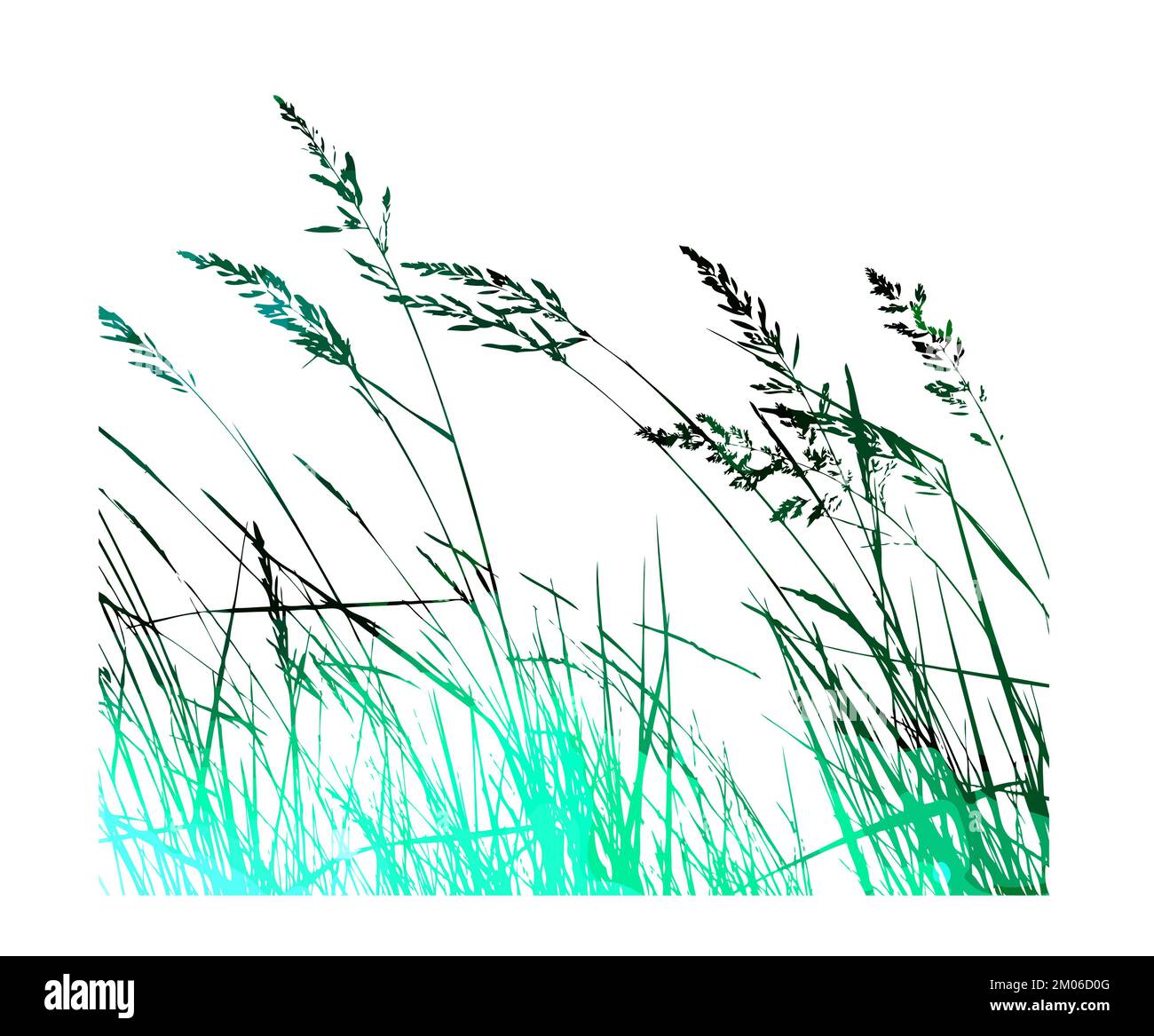 Vector green watercolor natural, organic, bio, eco label and shape ...