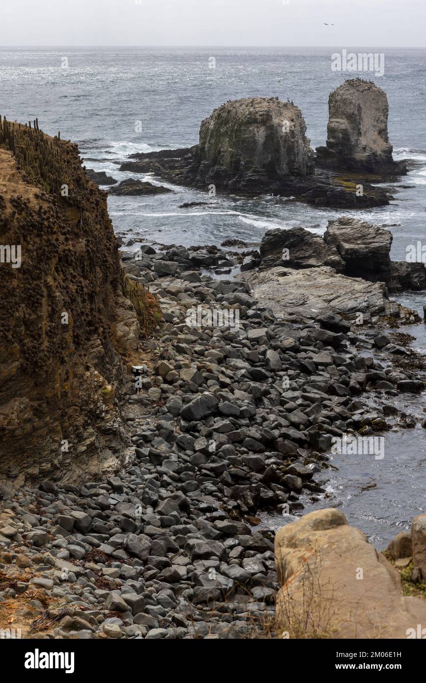 Punta de Lobos in Pichilemu, Chile Stock Photo - Alamy
