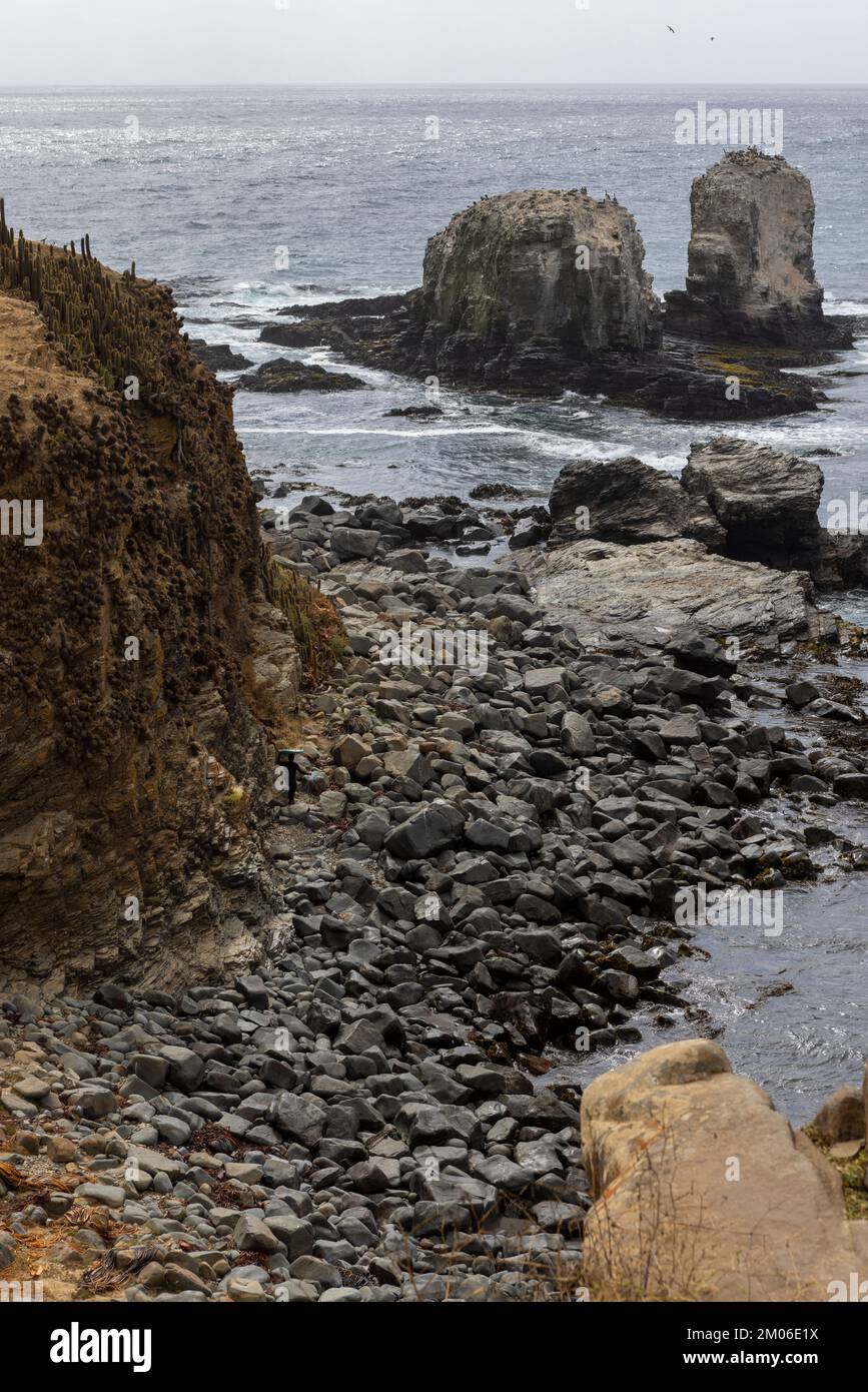 Punta de Lobos in Pichilemu, Chile Stock Photo - Alamy
