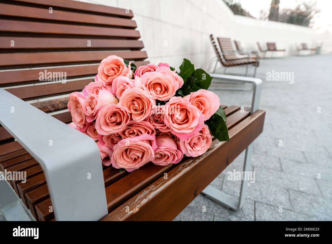 A bouquet of roses. a bouquet of roses on a bench. pink roses ...
