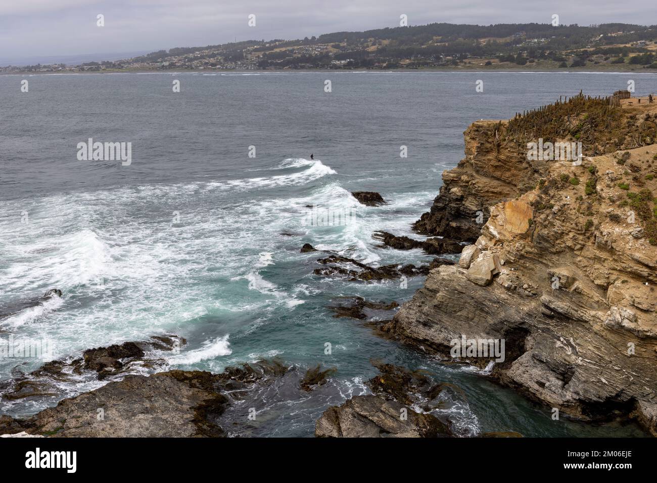 Punta lobos hi-res stock photography and images - Alamy