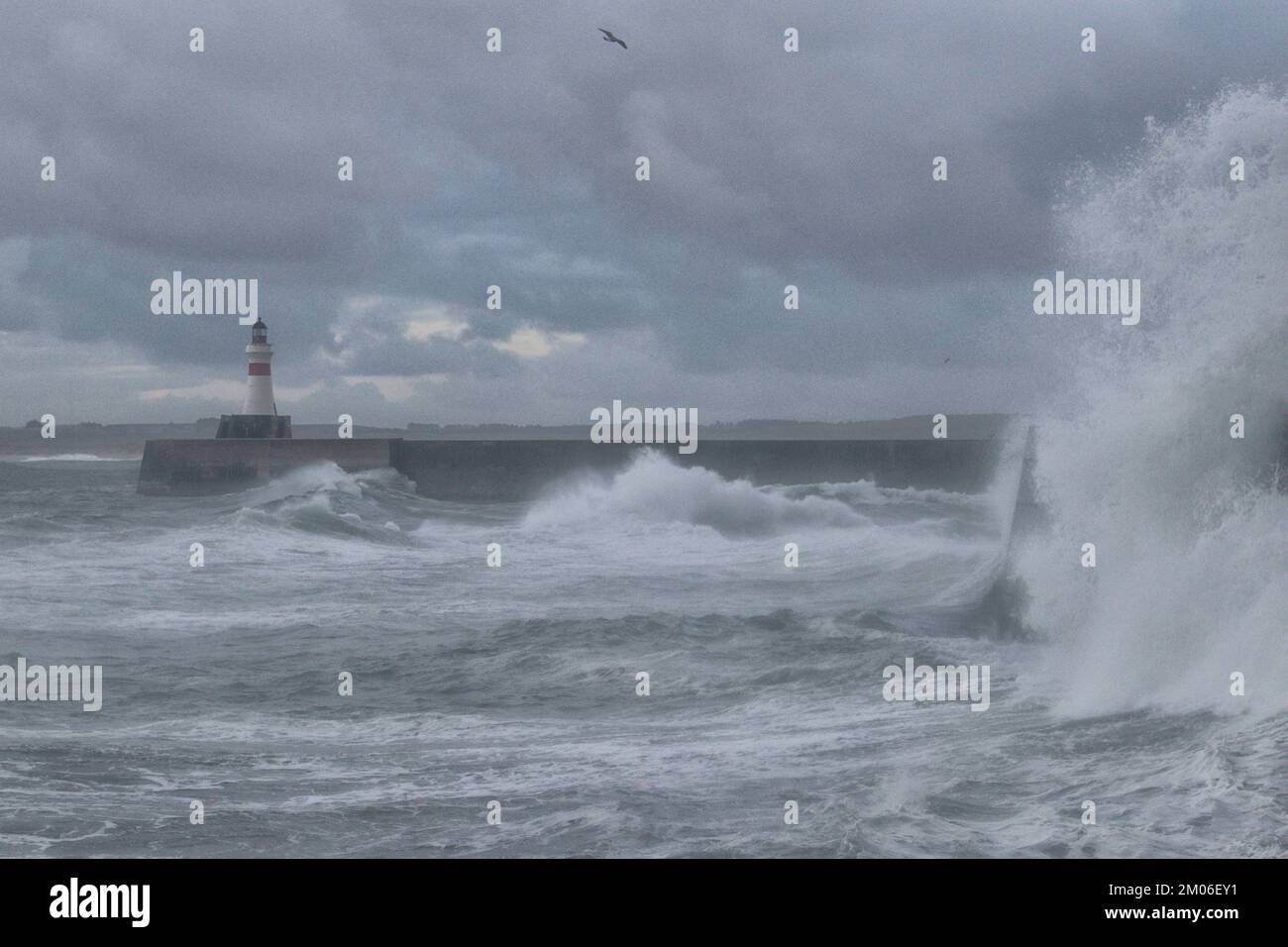 Stormy sea at the Golden Horn, Fraserburgh Stock Photo - Alamy