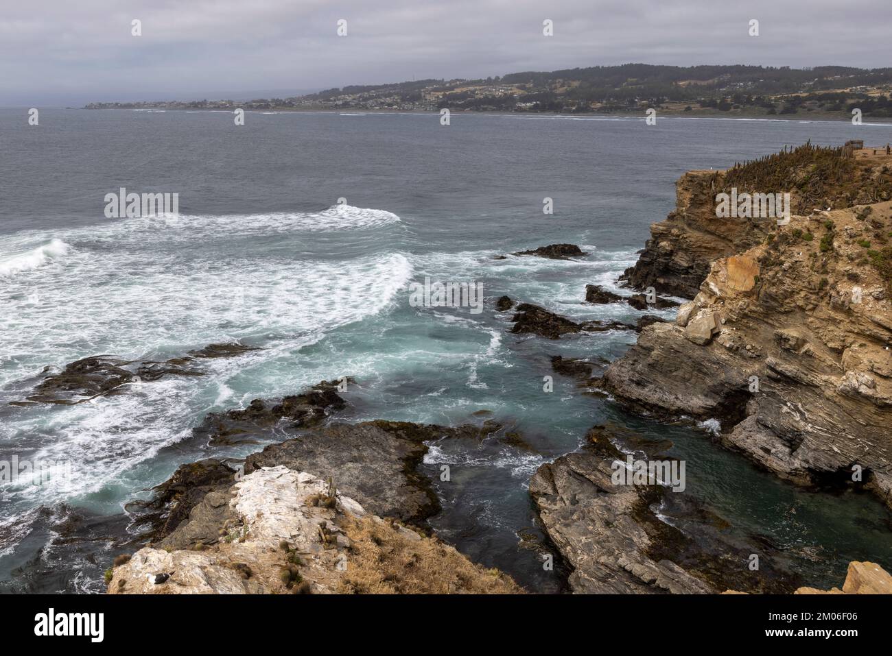 Punta de Lobos in Pichilemu, Chile Stock Photo - Alamy