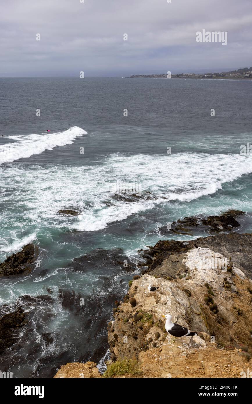 Punta de Lobos in Pichilemu, Chile Stock Photo - Alamy