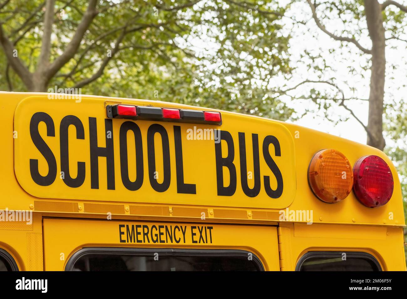 Back of old yellow school bus with a sign. Trees are in the background ...
