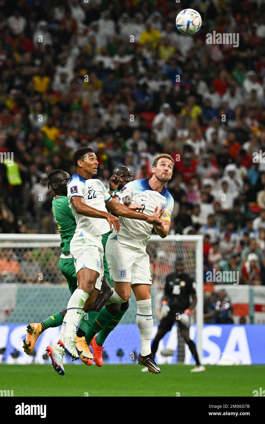 Harry Kane of England during England v Senegal match of the Fifa World ...