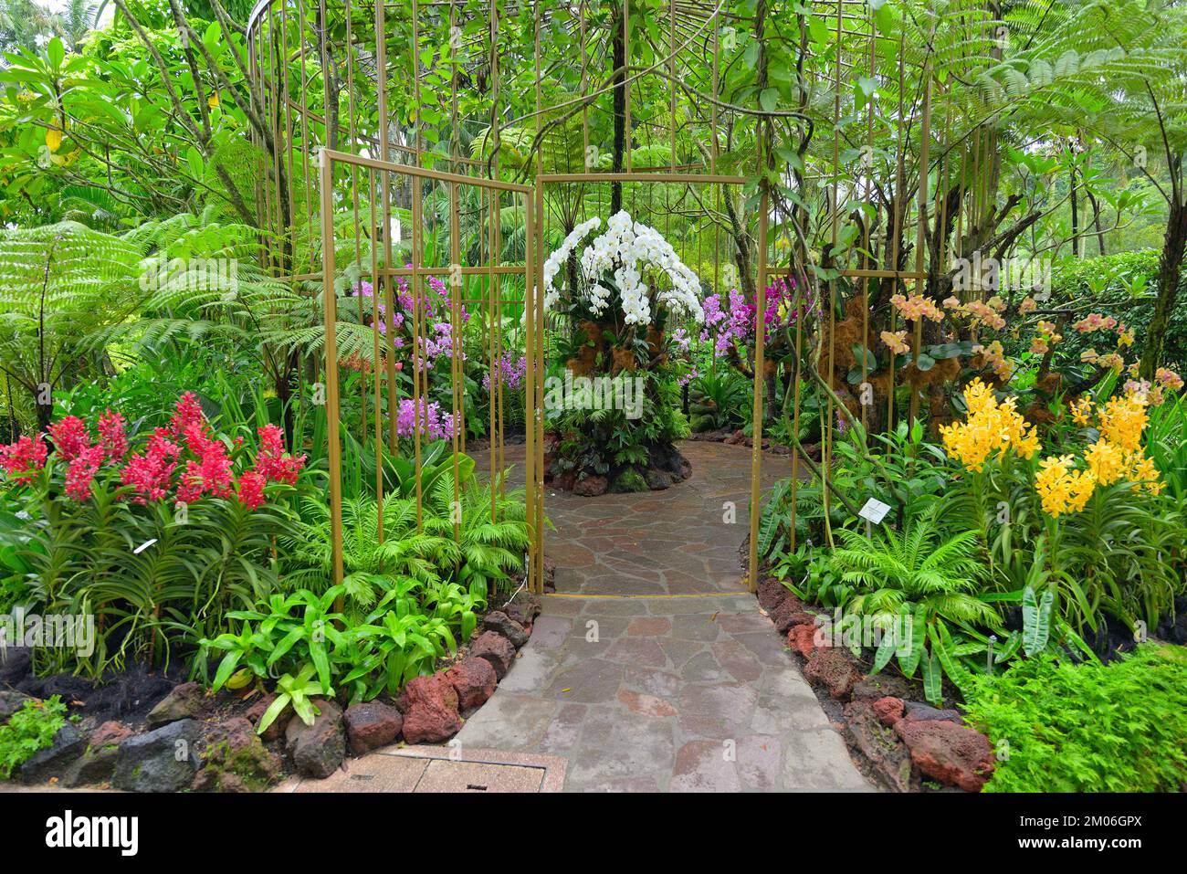 The National Orchid (Orchidaceae) Garden, Singapore SIN Stock Photo - Alamy
