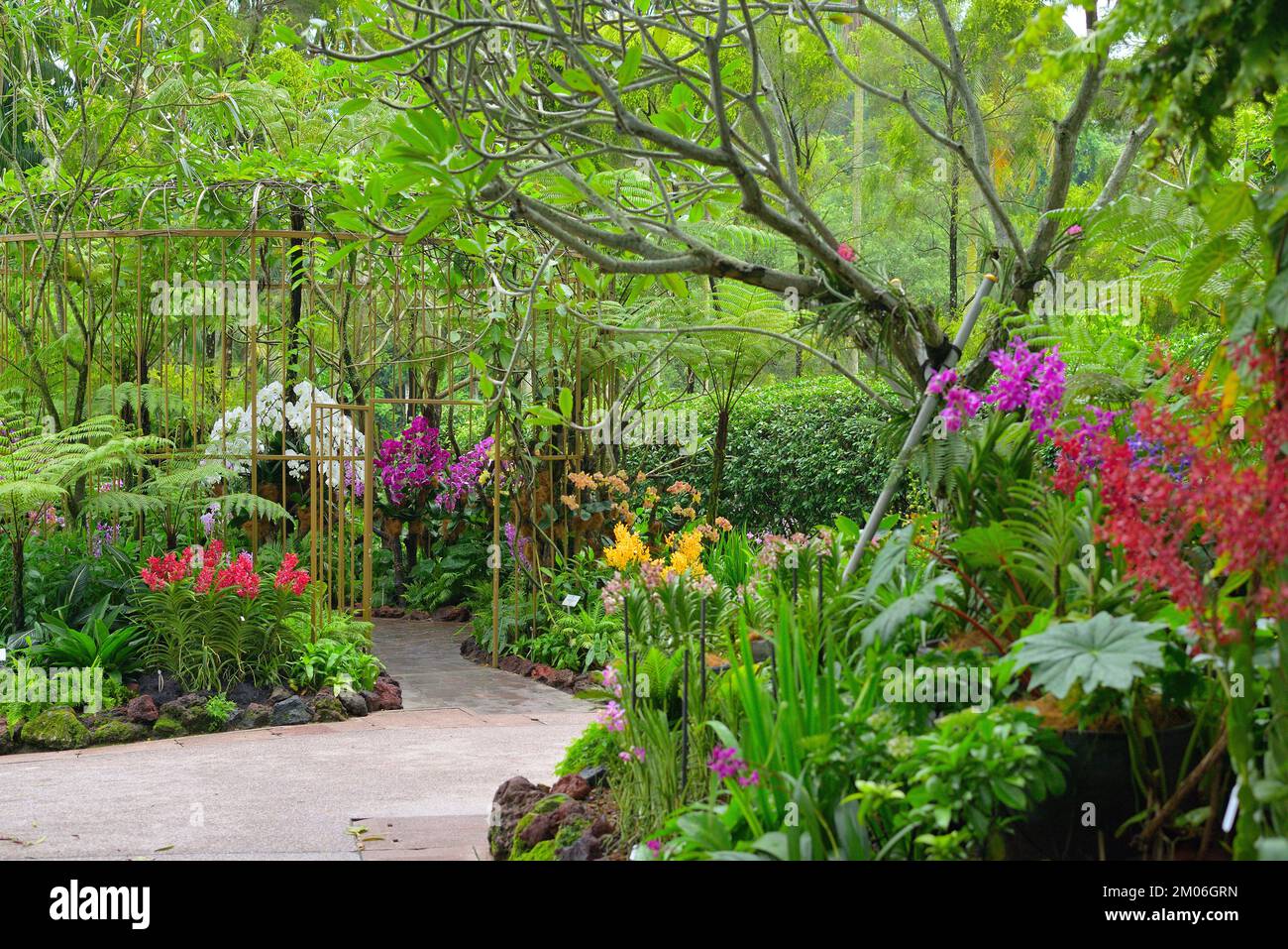 The National Orchid (Orchidaceae) Garden, Singapore SIN Stock Photo - Alamy