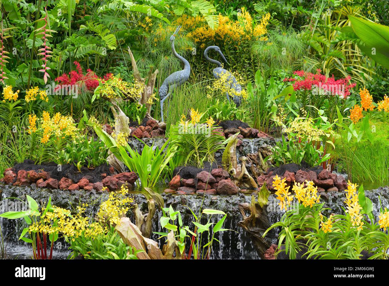 The National Orchid (Orchidaceae) Garden, Singapore SIN Stock Photo - Alamy