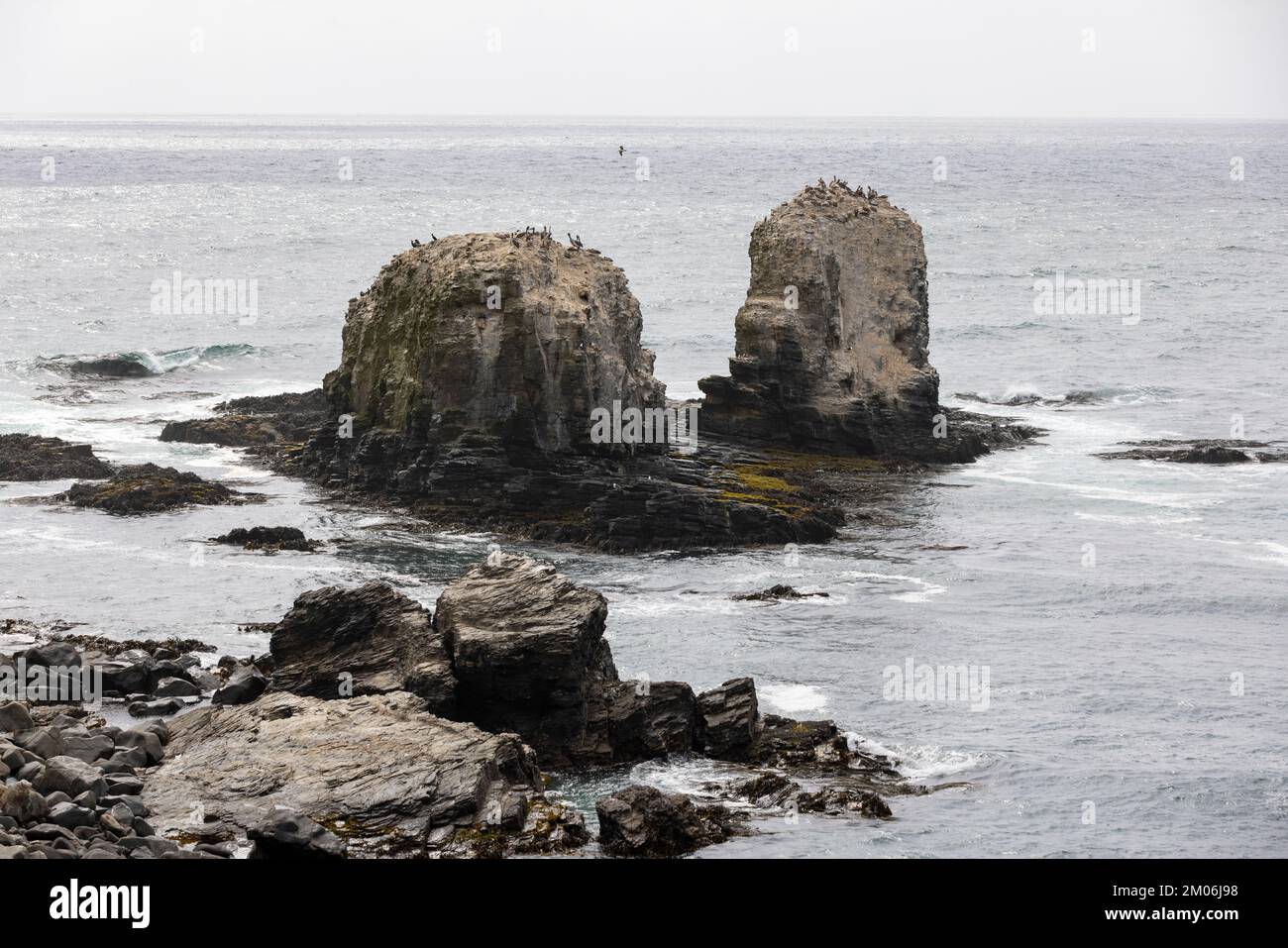 Punta de Lobos in Pichilemu, Chile Stock Photo - Alamy