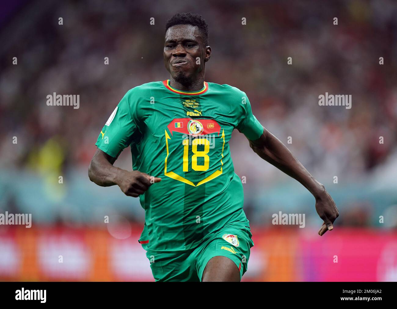 Senegal's Ismaila Sarr during the FIFA World Cup Round of Sixteen match ...