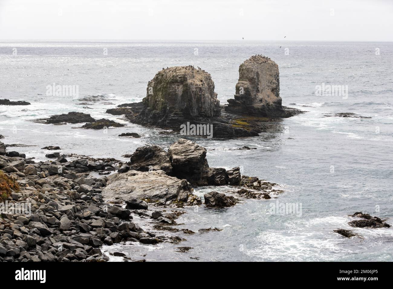 Punta de Lobos in Pichilemu, Chile Stock Photo - Alamy