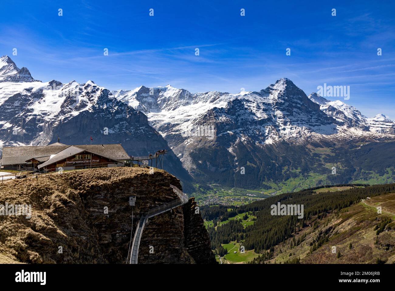View of the Swiss Alps mountain range from the First mountain. The ...