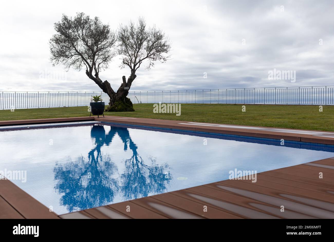 Olive tree over cloudy hi-res stock photography and images - Alamy