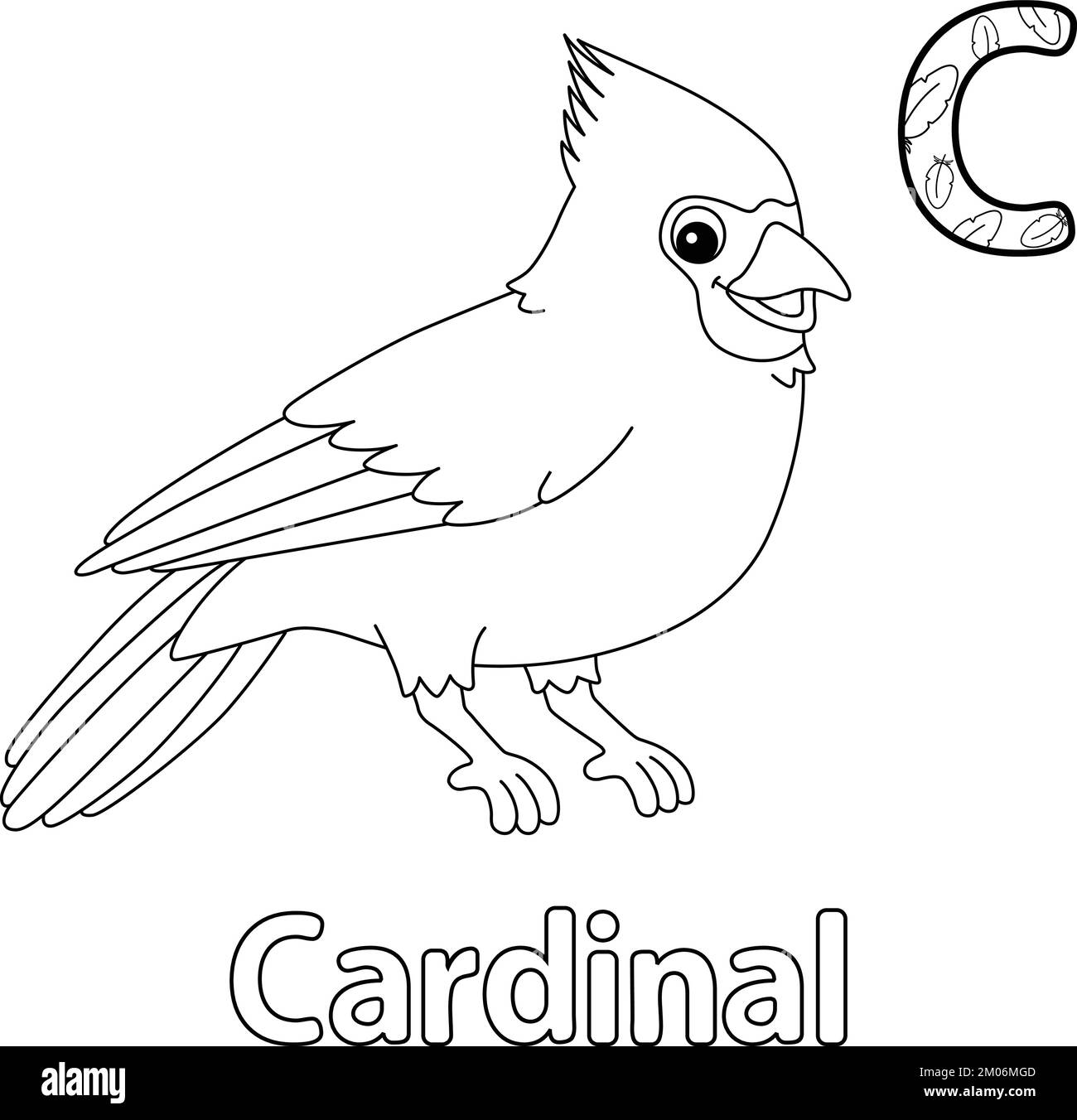 Cardinal Animal Alphabet ABC Isolated Coloring C Stock Vector Image ... Cardinal Animal Alphabet ABC Isolated Coloring C Stock Vector Image ...