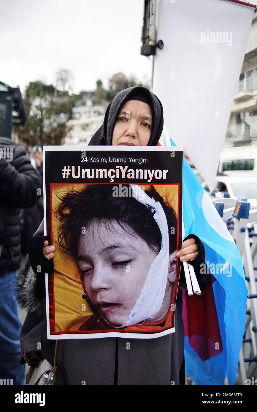 Human Rights Violations Poster