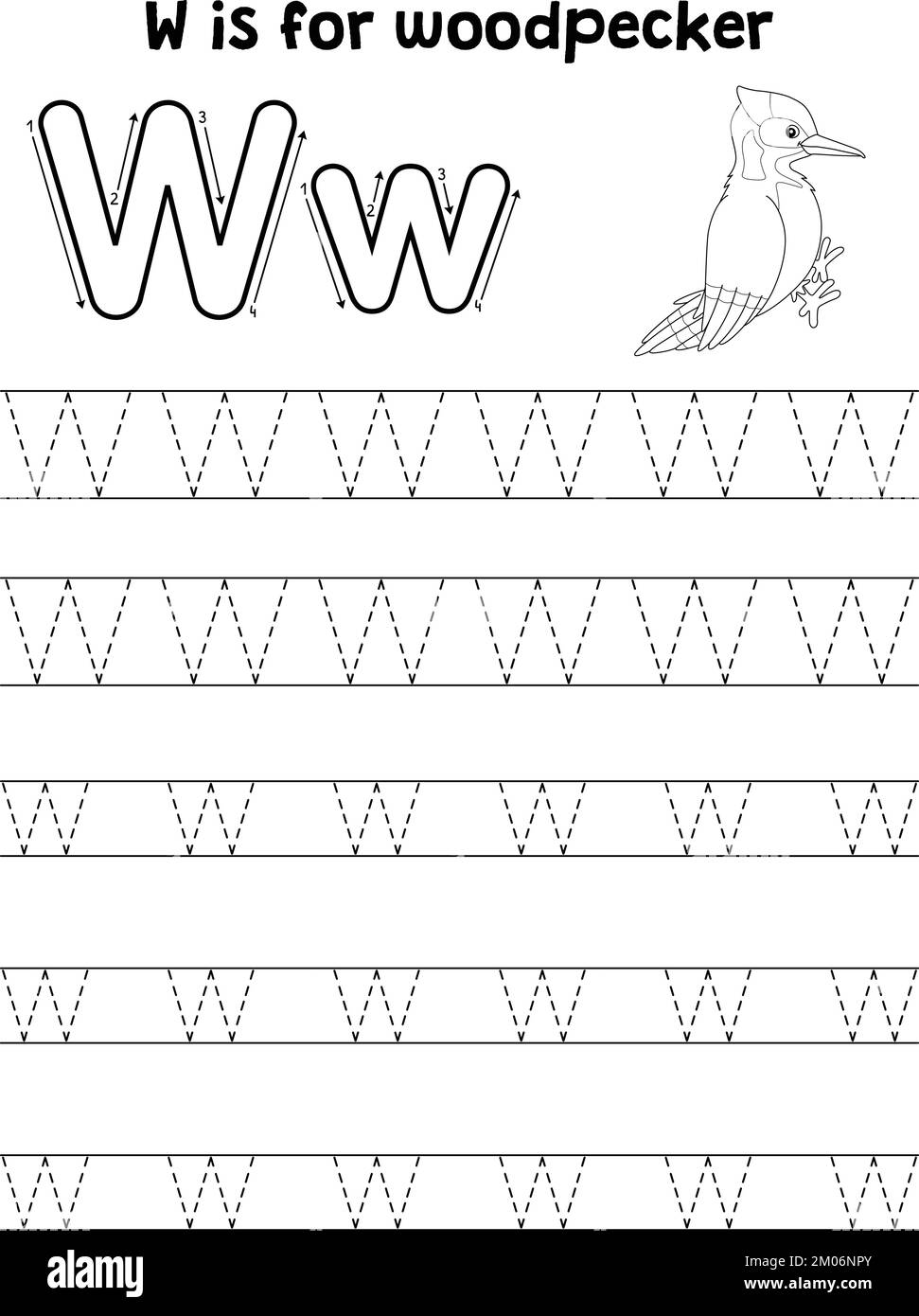Woodpecker Animal Tracing Letter ABC Coloring Z Stock Vector Image ...